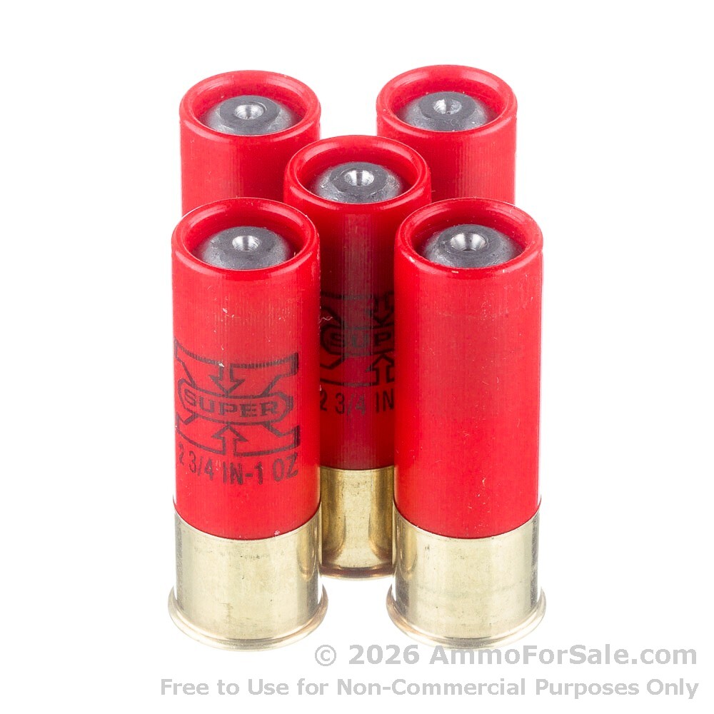 shotgun shells slugs