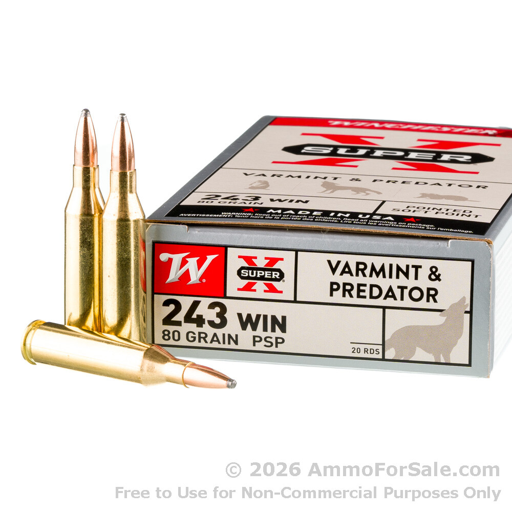 200 Rounds of Discount 80gr JSP .243 Win Ammo For Sale by Winchester