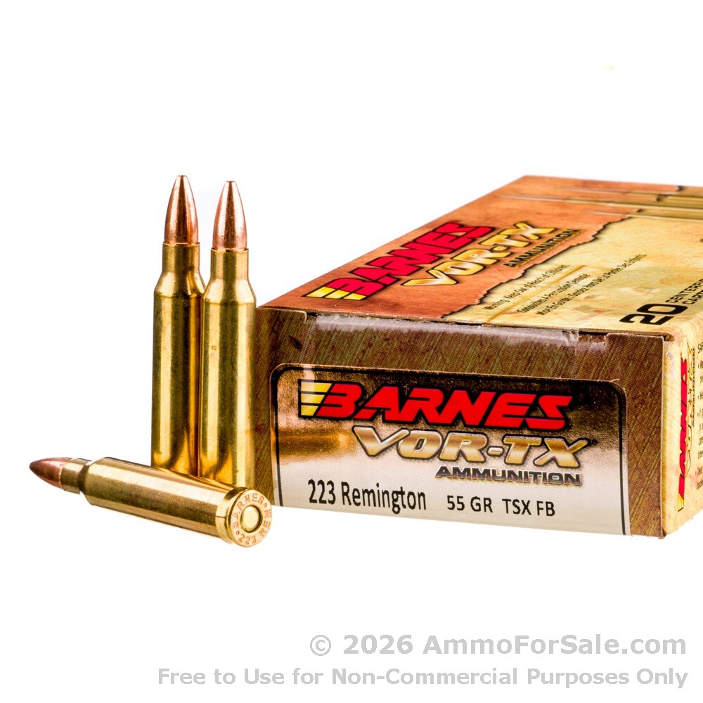 20 Rounds of Discount 55gr TSX .223 Ammo For Sale by Barnes