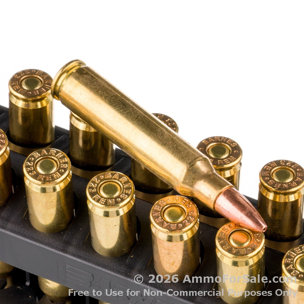20 Rounds of Discount 55gr TSX .223 Ammo For Sale by Barnes