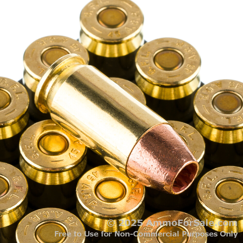 20 Rounds of Discount 185gr TAC-XP .45 ACP Ammo For Sale by Barnes