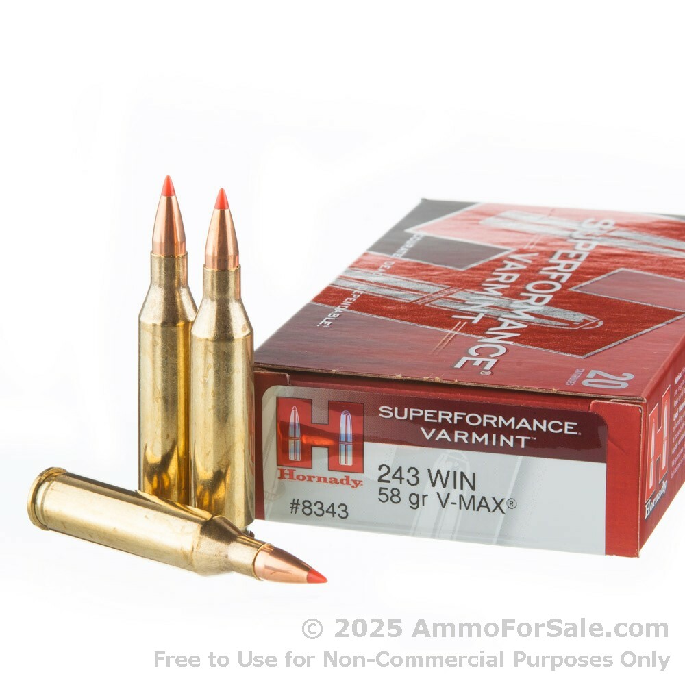 20 Rounds of Discount 58 Grain V-MAX .243 Win Ammo For Sale by Hornady ...