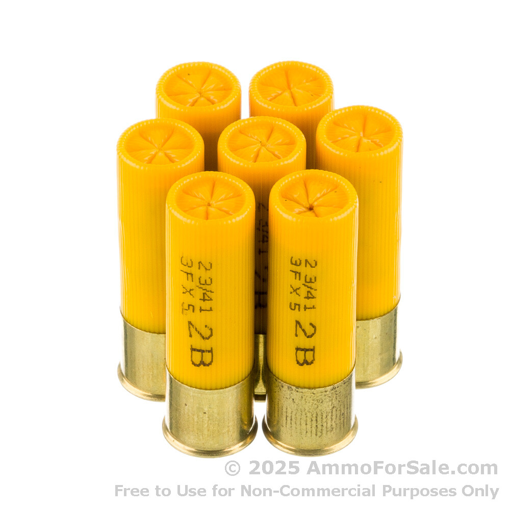 250 Rounds of Discount #2 Buck 20ga Ammo For Sale by Aguila
