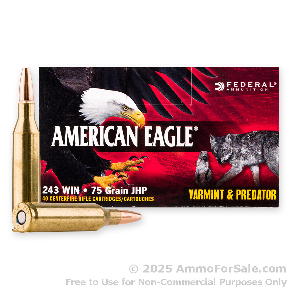 40 Rounds of Discount 75gr JHP .243 Win Ammo For Sale by Federal
