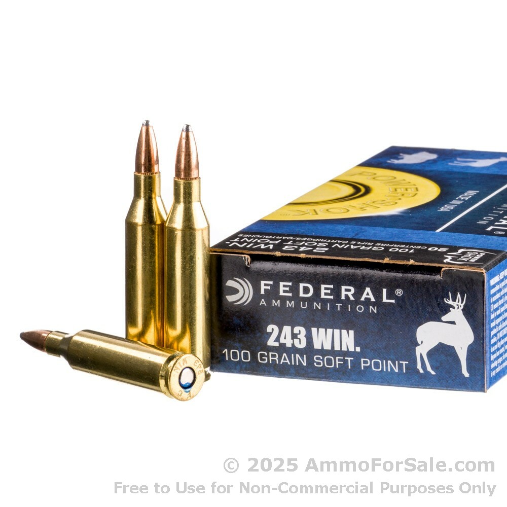 200 Rounds of Discount 100gr SP .243 Win Ammo For Sale by Federal