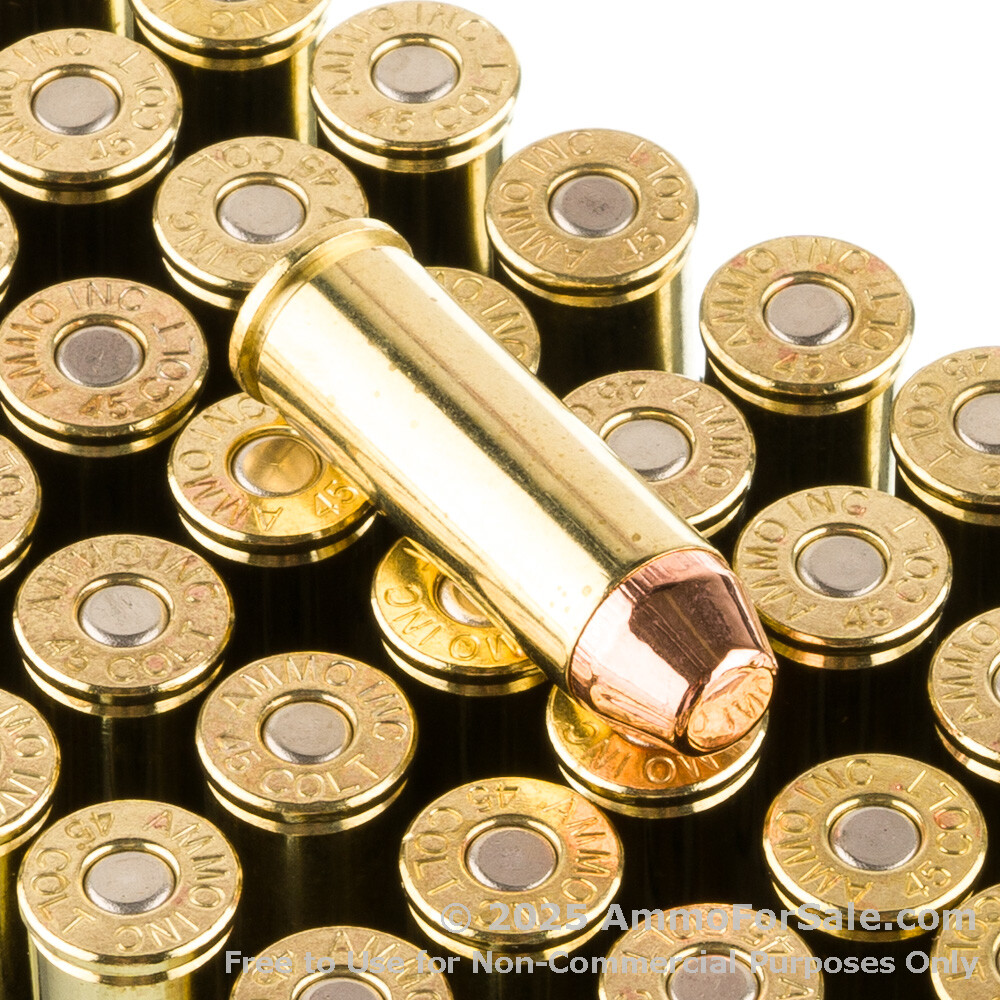 50 Rounds of Discount 250gr TMJ .45 Long-Colt Ammo For Sale by Ammo Inc.
