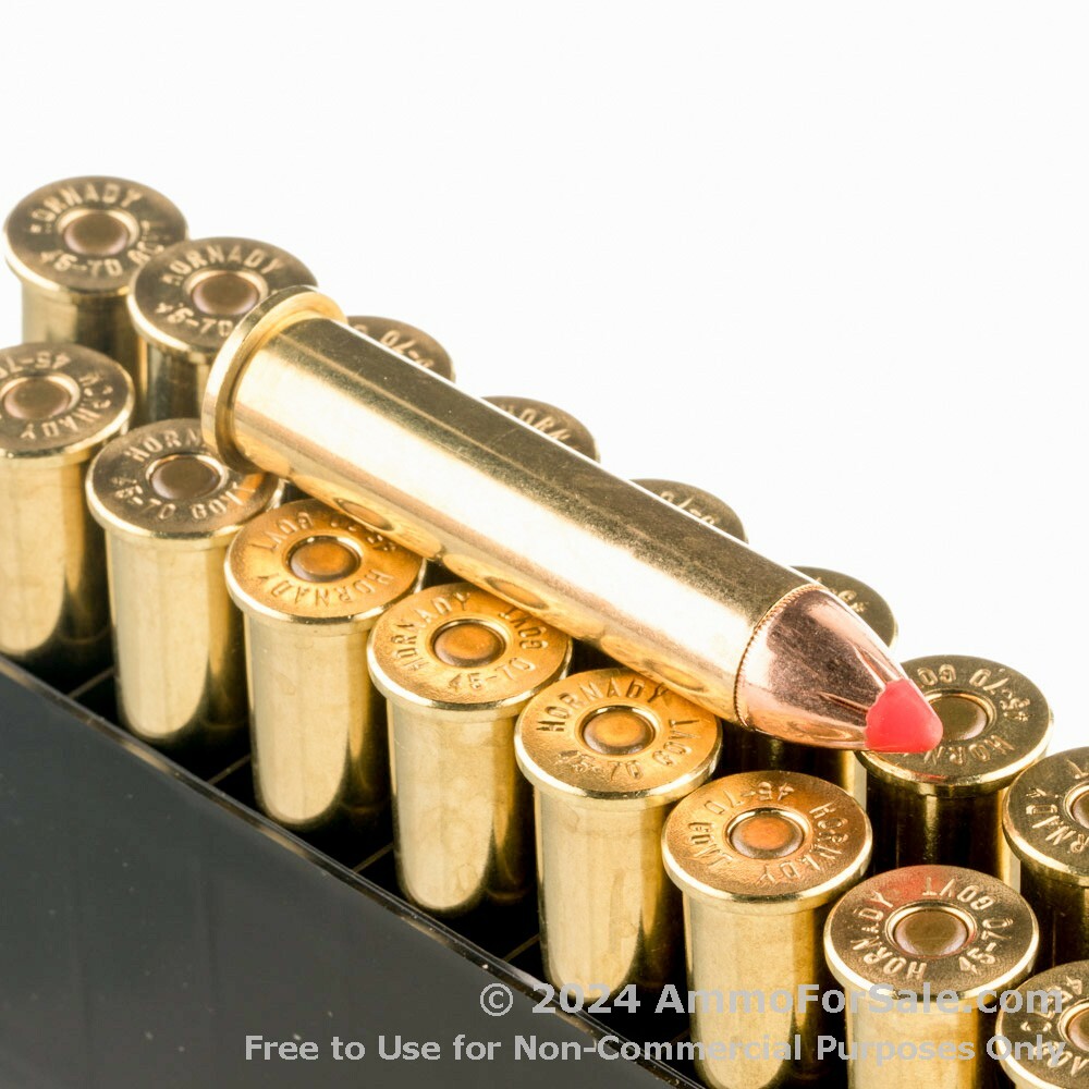 20 Rounds of Discount 325gr FTX 45-70 Government Ammo For Sale by Hornady